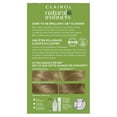 Clairol Natural Instincts Color Crème, 8A Medium Cool Blonde, Demi ...