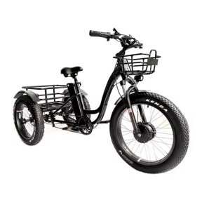 Anywhere Anytime Adult's Heavy Duty Motorized Electric Tricycle with ...