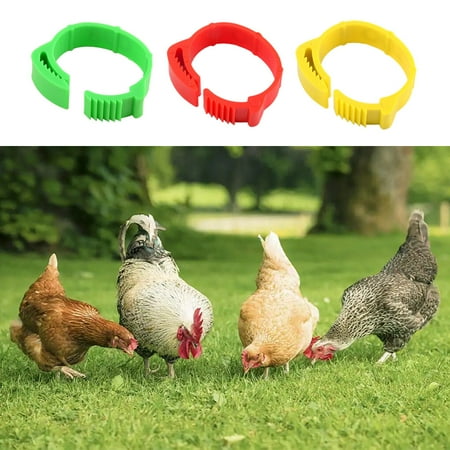 pitrice 100X Chicken Leg Rings Adjustable Rings For Homehold Yards ...