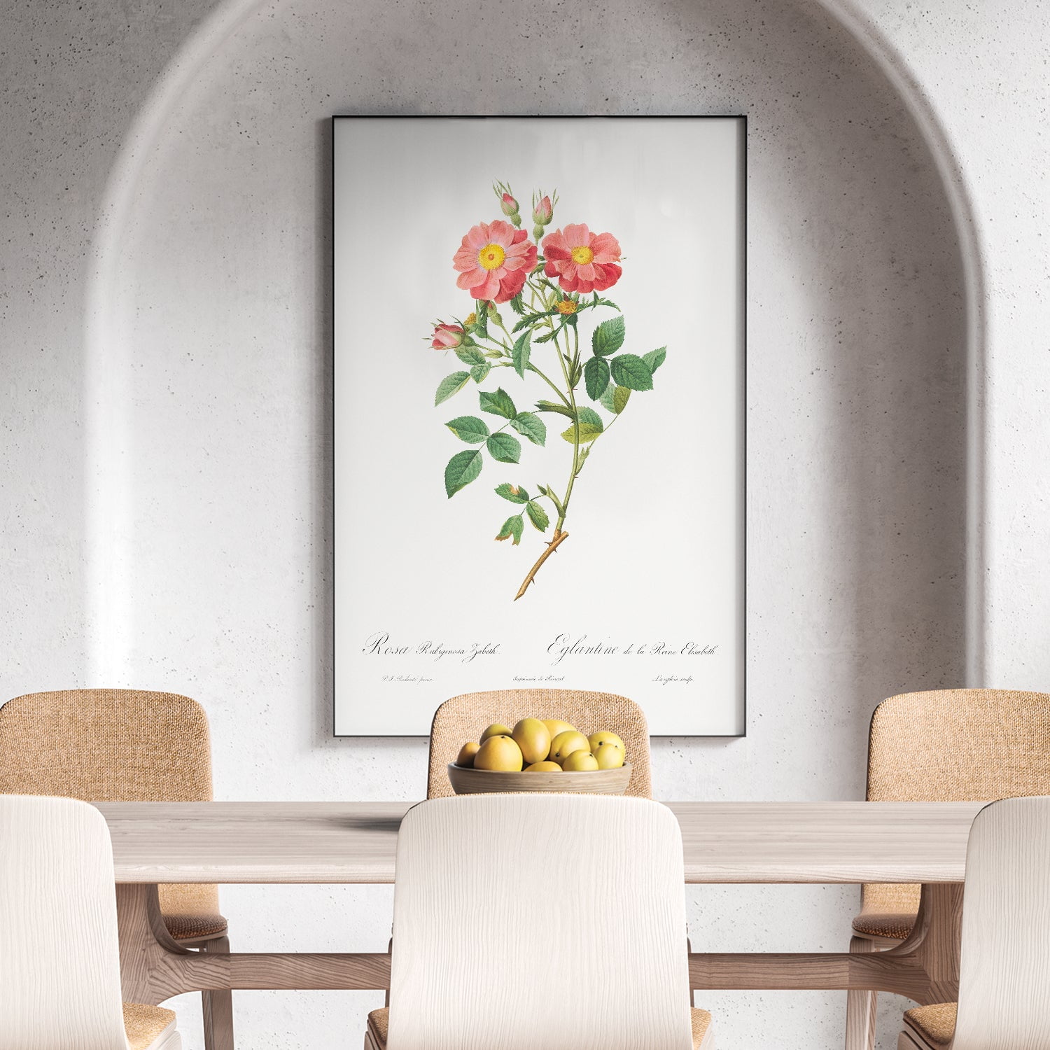 Queen Elizabeth's Sweetbriar - 1817–1824 | Pierre-Joseph Redouté ...