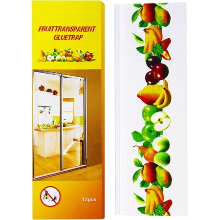 12 Packs Fly Clear Window Fly Traps Killer, Fruit Fly Trap Indoor ...