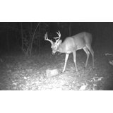 Manna Pro Acorn Rage Blocks Deer Attractant - Walmart.com