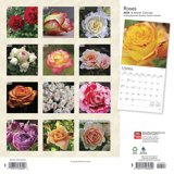 Roses | 2024 12x24" (Hanging) Monthly Square Wall Calendar | BrownTrout ...