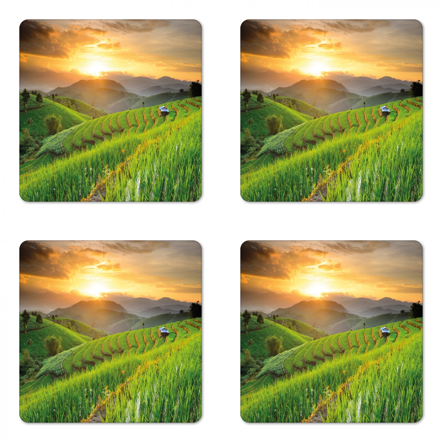 Country Coaster Set of 4, Landscape of Rice Farm Terrace During Sunset ...