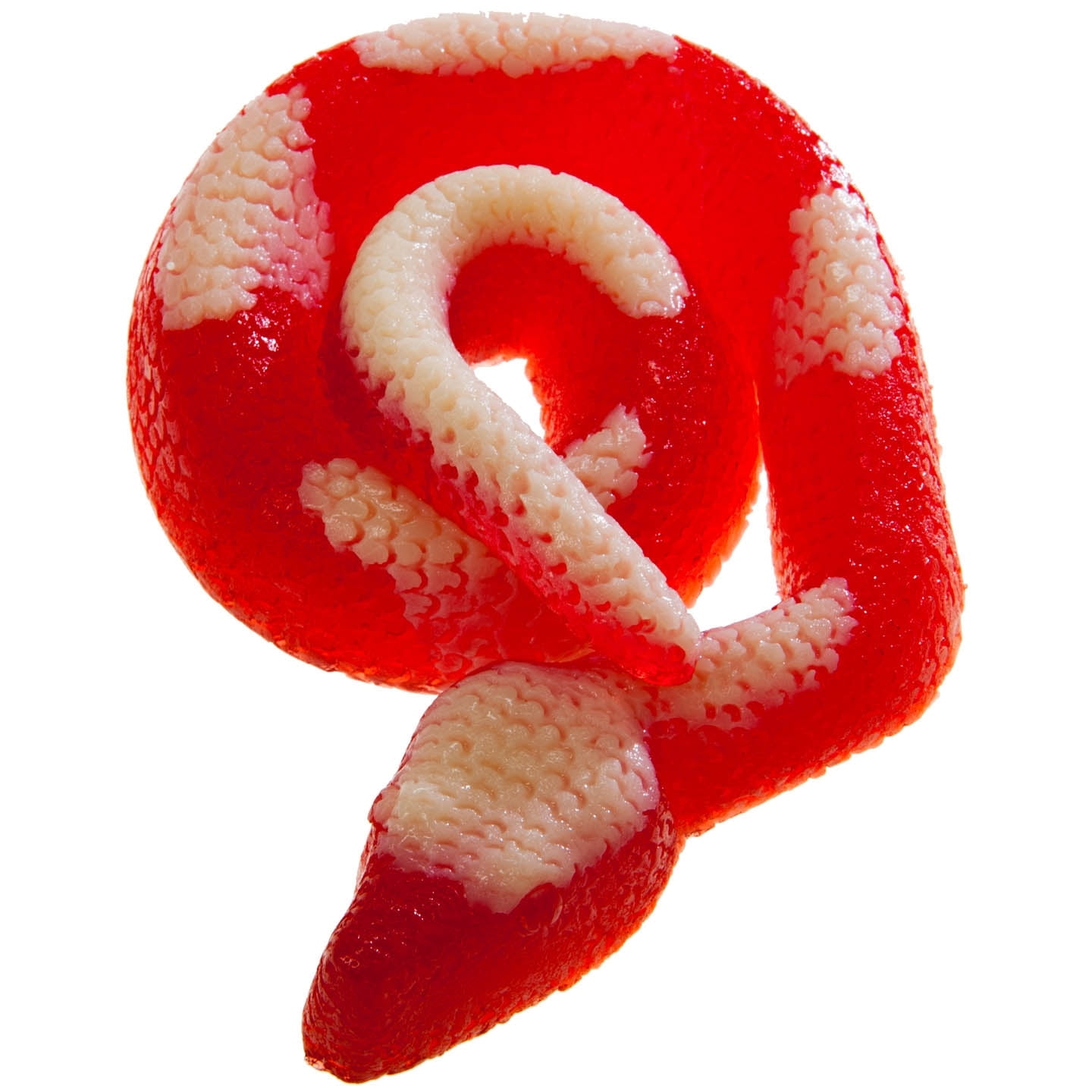 Giant Gummy Python