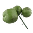 Homena Fake Coconut Decor Simulated Fruit Props For Home Decor 11*10 ...