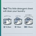 Earth Breeze Laundry Detergent Sheets, Fresh Scent, 60 Loads, Eco ...