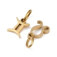 304 Stainless Steel Charms with Jump Rings Twelve Constellations Charms ...