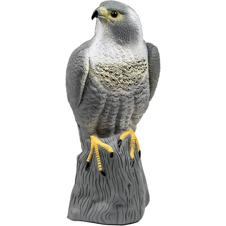 Defenders Falcon I Decoy Bird Scarer I Garden Bird I Dissuasion ...