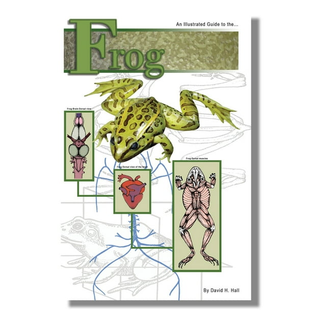 Anatomy Lab Frog Dissection Guide - Walmart.com