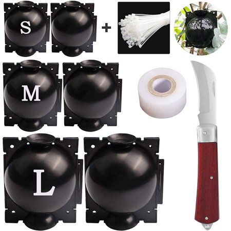 KSCD Plant Root Growing Box, 6PCS Propagation Ball Rooter for Garden ...