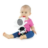 Baby Einstein Zen the Zebra Sensory Plush BPA-free Teether Toy, Ages ...