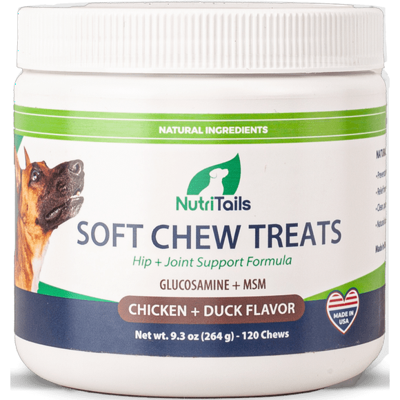 Glucosamine Chondroitin Msm Dogs