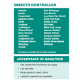 Marathon II Insecticide - For Greenhouse and Nursery Ornamentals - 250 ...