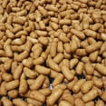 Atkinson's Frozen Hushpuppies 16 Oz - Walmart.com