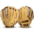 Franklin Sports Baseball Fielding Glove - Adult + Youth Baseball ...