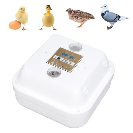 36 Eggs Hatching Incubator, Safe Low Noise Digital Eggs Incubators For ...