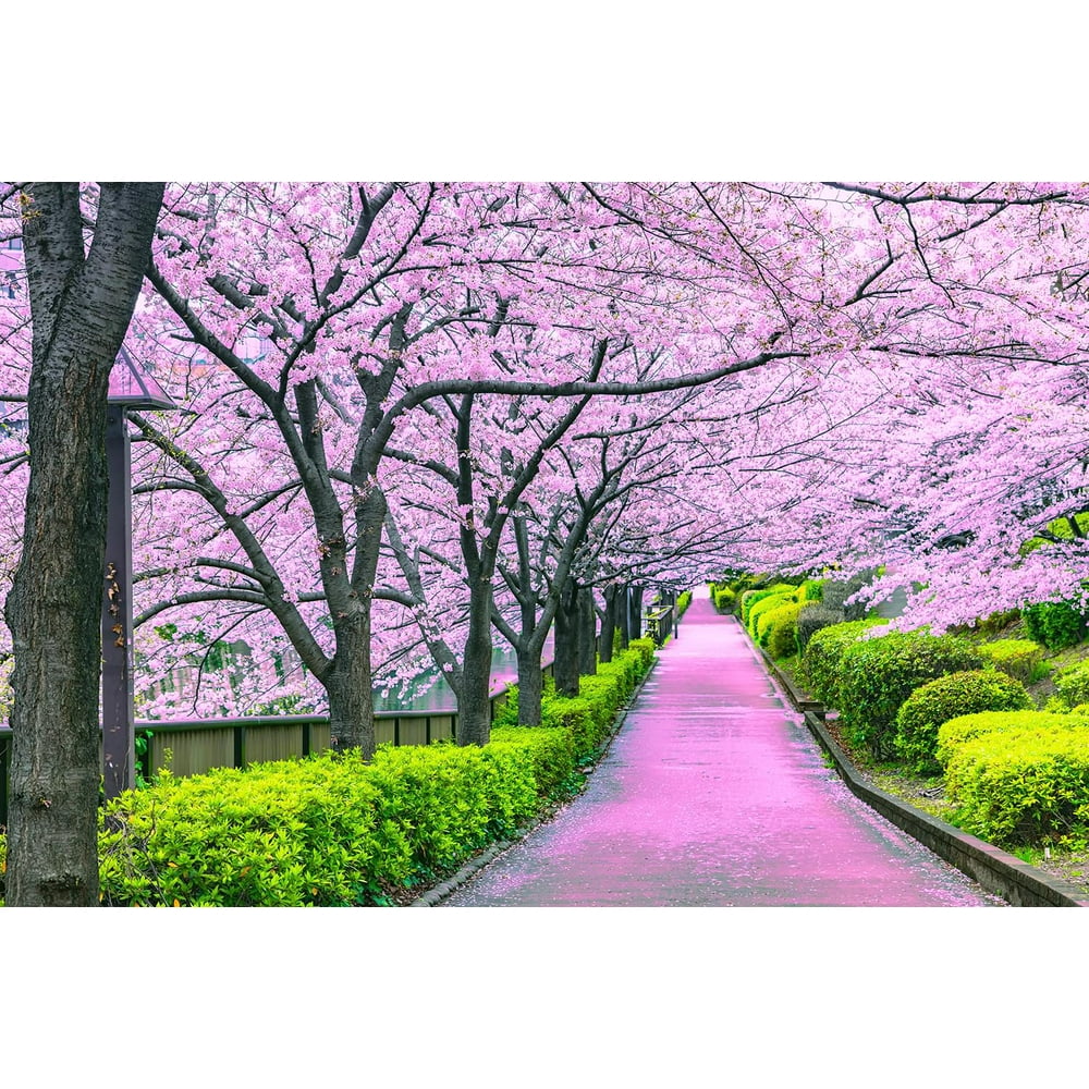 Cherry Blossom Bliss Tokyo Japan Puzzle | 1000 Piece Jigsaw Puzzle ...