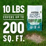 Pennington Smart Patch Mixed Sun or Shade Seed/Fertilizer/Mulch Repair ...