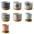 Succulent Plant Pots and Stand Set, Ceramic Mini Planter Pots with ...