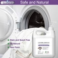 Bed , Mite & Lice Laundry Detergent Additive by - 128 oz - & Pet ...