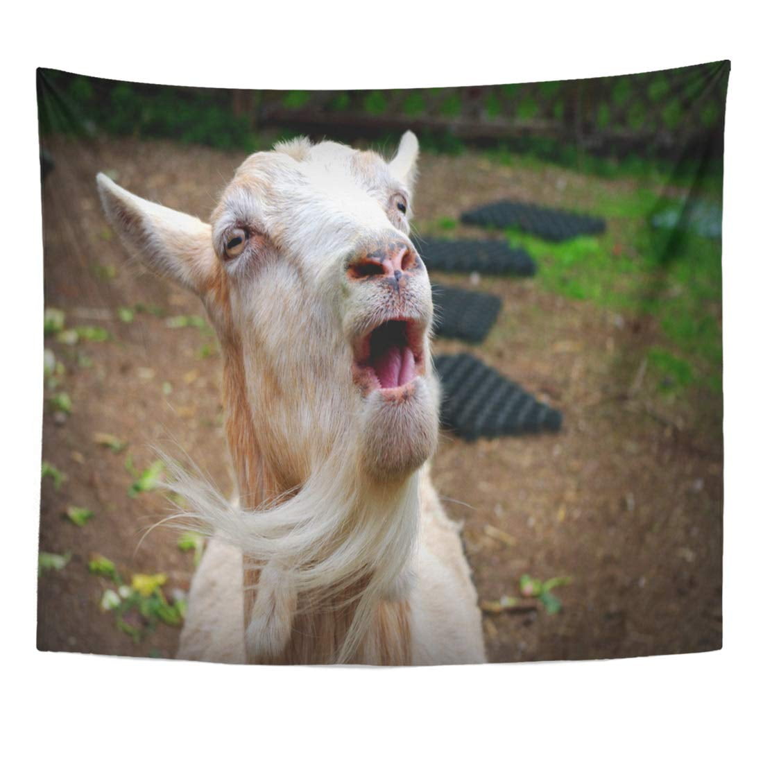 ZEALGNED Green Face Singing Goat White Agriculture Beard Bearded Wall ...