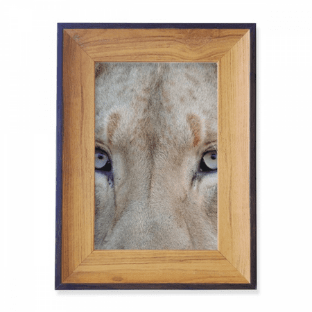 m Animal White Lion Photo Frame Exhibition Display Art Desktop Painting ...