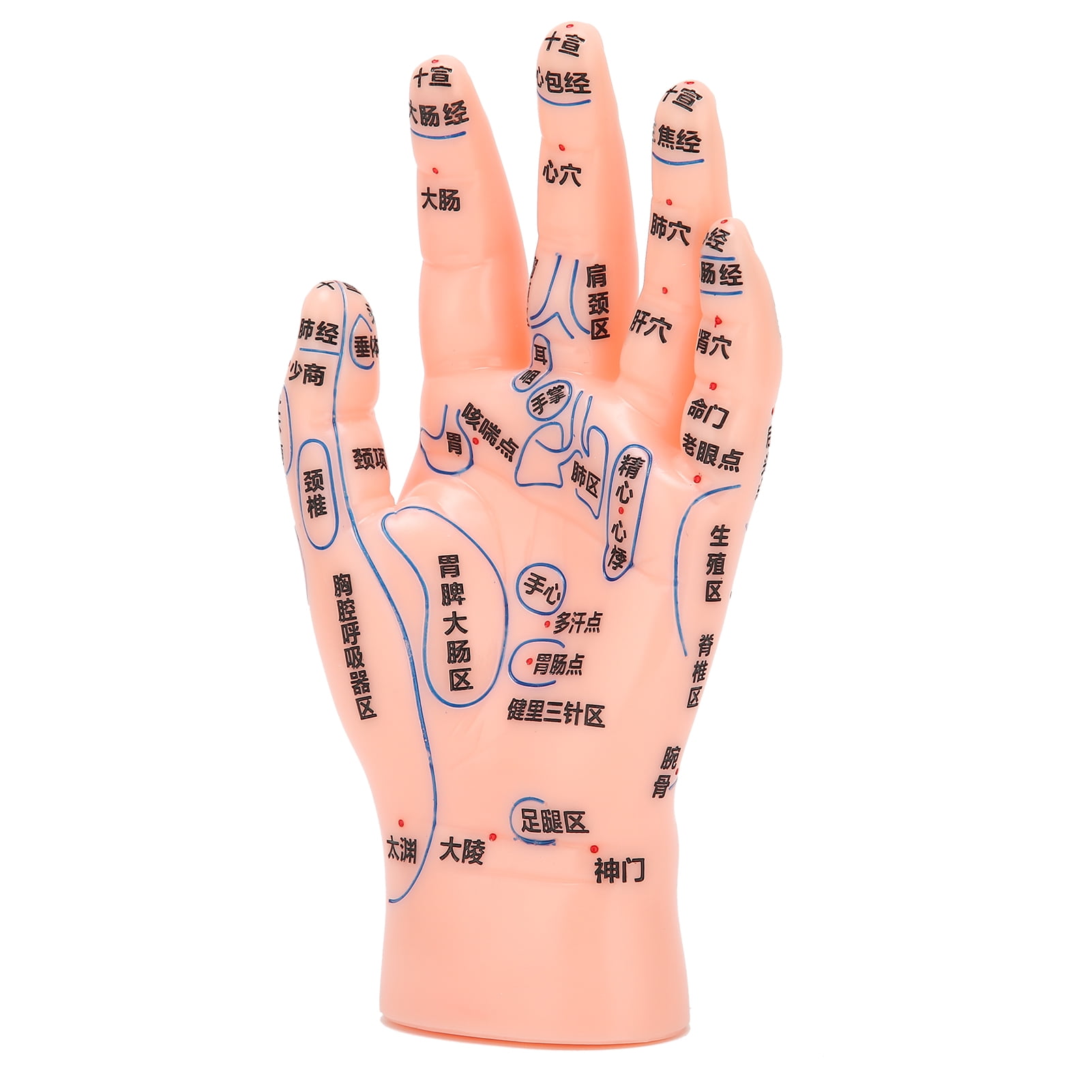 Acupuncture Points Hand