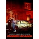Running Scared (DVD) - Walmart.com