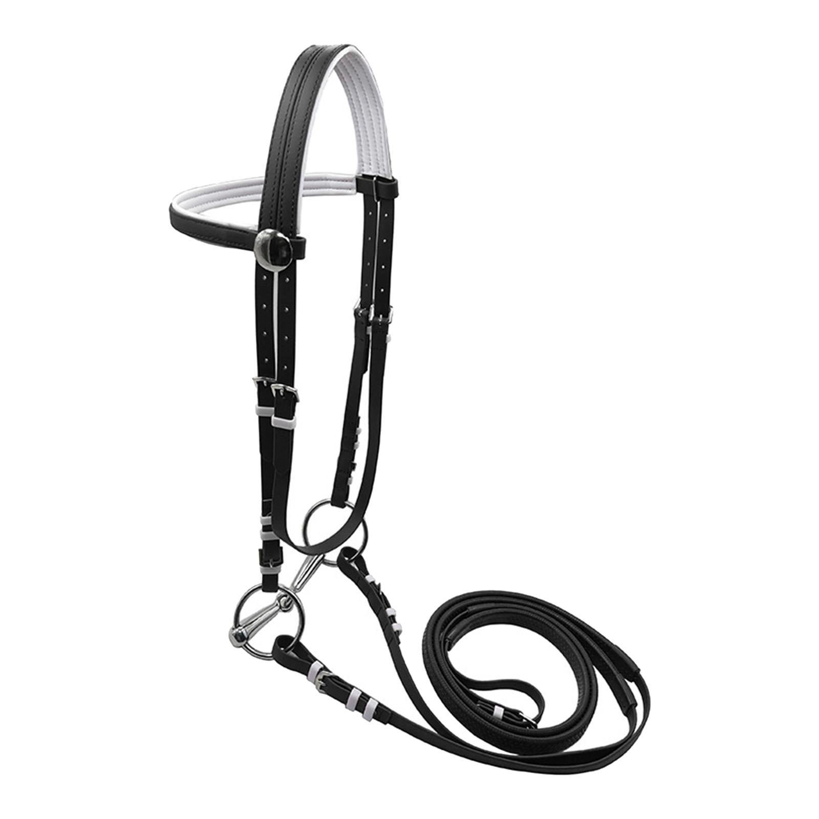 Brida para caballo con rienda y cabezada de acero inoxidable, bocado de ...