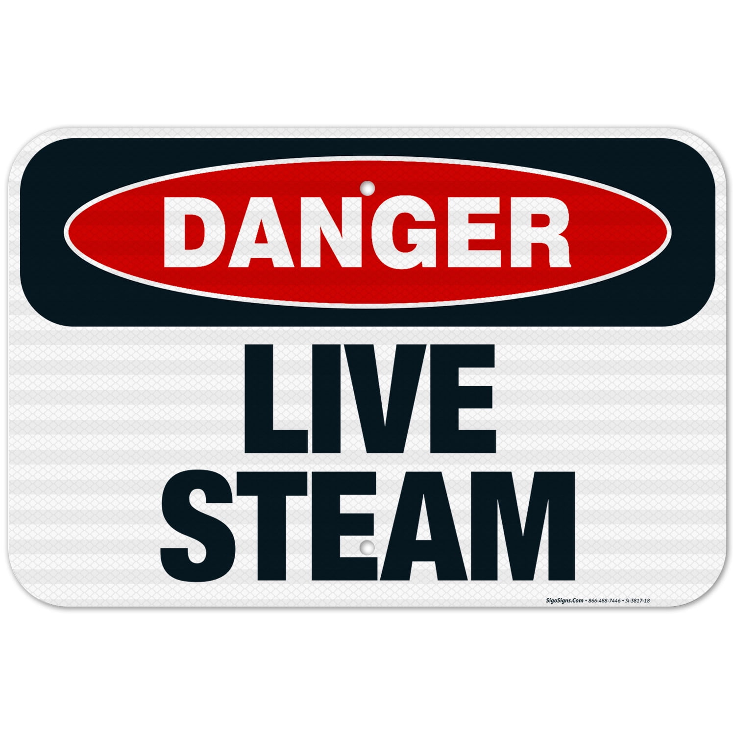 Live Steam Sign, OSHA Danger Sign, 12x18 Reflective Aluminum EGP ...