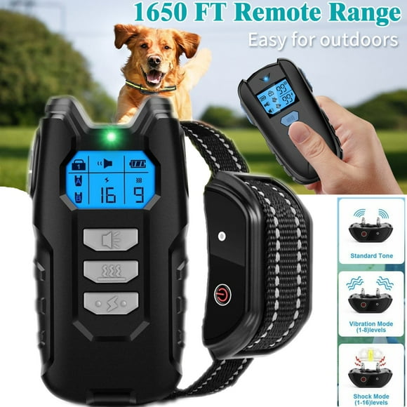Shock Collar