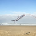 In the Breeze 5160 — Shark 48-Inch Fish Windsock — Realistic Shark ...