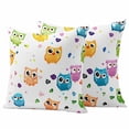 Cartoon Cute Blue Yellow Owl Waterproof Throw Pillow Covers Set of 2 ...