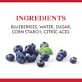 Duncan Hines Comstock Blueberry Pie Filling and Topping, 21 oz ...