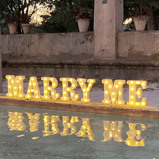 Will You Marry Me Sign