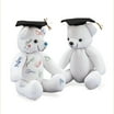 Graduation Autograph Cat - Toys - 1 Piece - Walmart.com