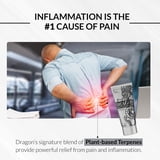 Dragon Pain Relief Super Strength Pain Relieving Lotion, Terpene Blend ...