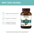 Himalaya, Heart Support Supplement, 60 Caplets, Arjuna Extract ...