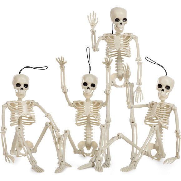 Posable Skeleton