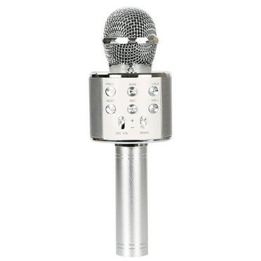 Martin Ranger DM-11 Professional Dynamic Wired Vocal Microphone ...