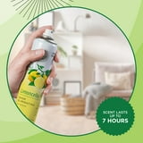 Citrus Magic Limited Edition Odor Eliminating Air Freshener Spray ...