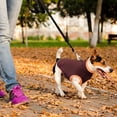 2 Pack Dog Fleece Vest Sweater with Buttons for Small Dogs Cats Soft ...