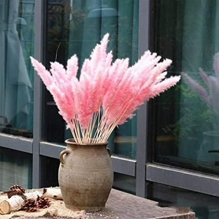 15Pcs/1 Bunch Natural Dried Bulrush Small Pampas Grass Phragmites ...