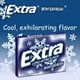 Extra Winterfresh Sugar-Free Gum (15 Count, 12 Packs.) - Walmart.com