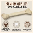 Cadet Premium Grade Beef Hide Knotted Bone 15 Inch (1 Count) - Walmart.com