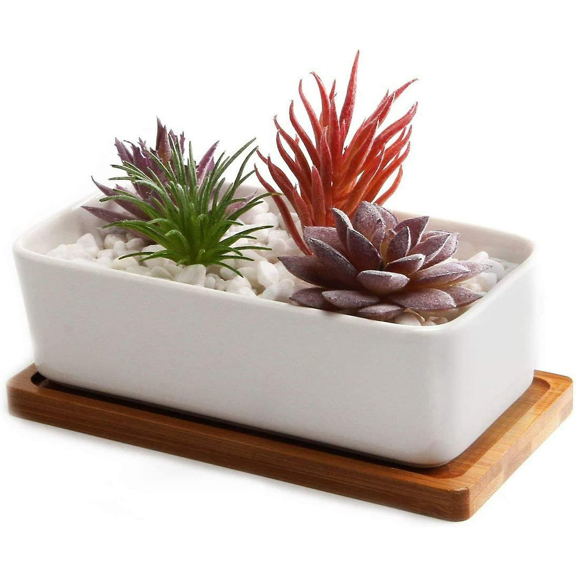 Click here for Geecy 16.5cm White Ceramic Succulent Pot With Bamb... prices