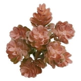 Mainstays Artificial Hops Pick Pink 2.5x6.4 inches Lifelike Floral Stem ...