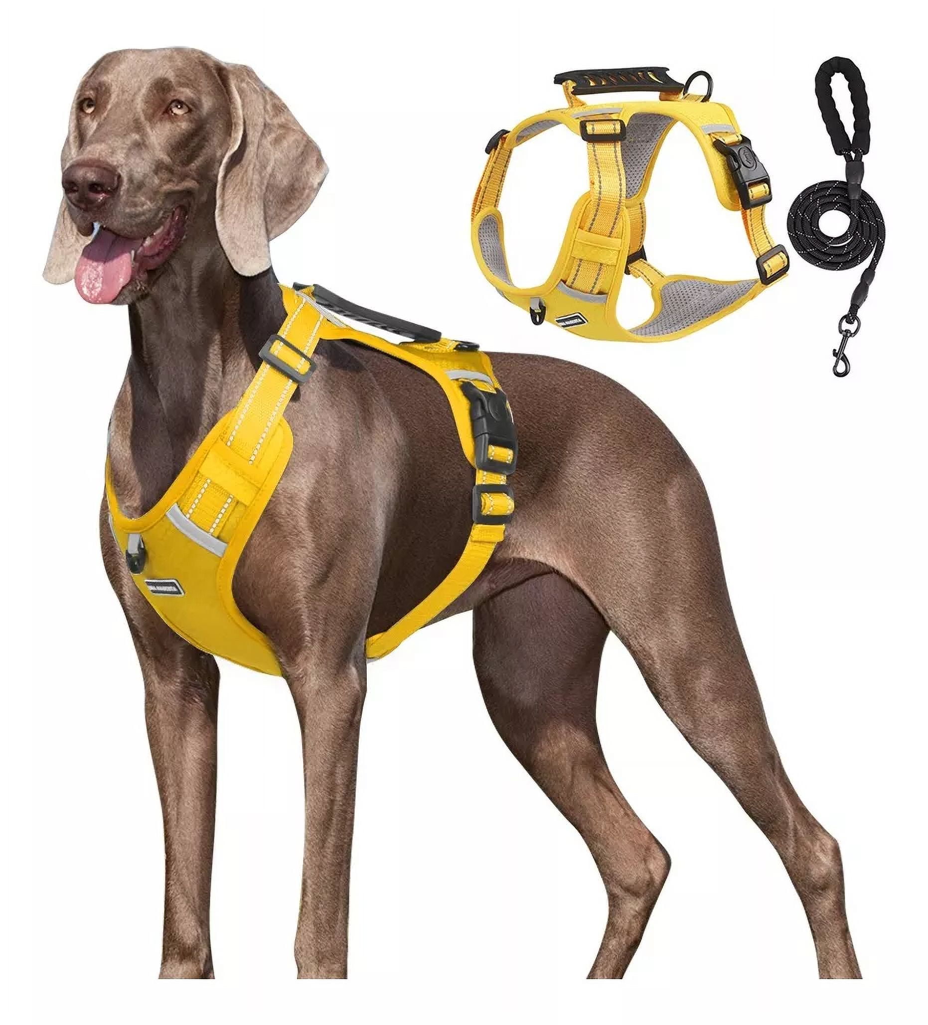 Pechera Arnés De Seguridad Para Perro Chico Mediano Y Grande | Walmart ...