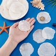100pcs Undrilled Capiz Shells 2~3.5 inch Large Shells Natural Capiz Sea ...